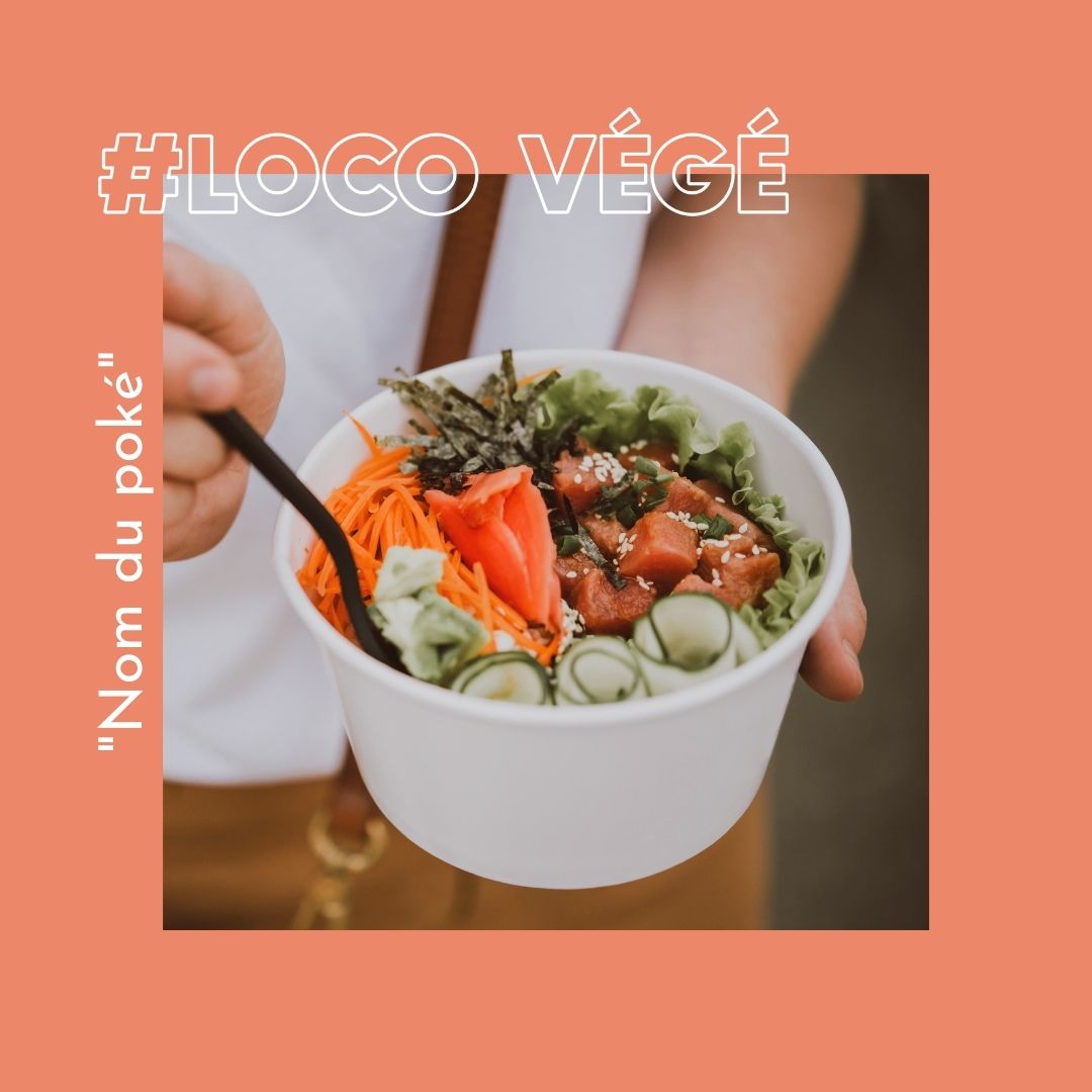 Poké loco Identité de marque | Agence 33 degrés